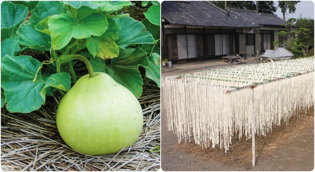 Elizabeth Andoh: A Taste of Culture – Kampyō; Edible Gourd Ribbons ...