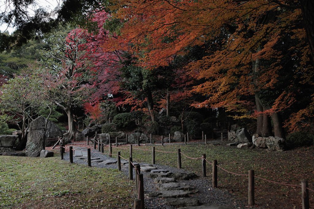 Sacred Trees in Japan by JSTOR Daily – Japan Living Arts by Steve Beimel