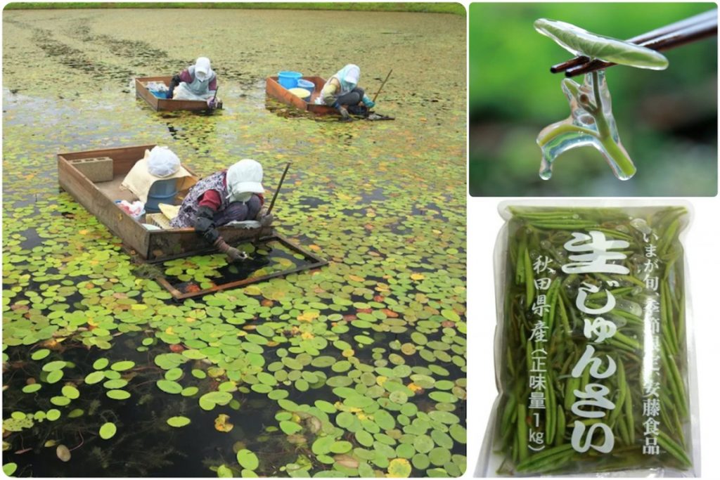 ELIZABETH ANDOH – A Taste of Culture: Junsai, a summertime delicacy ...